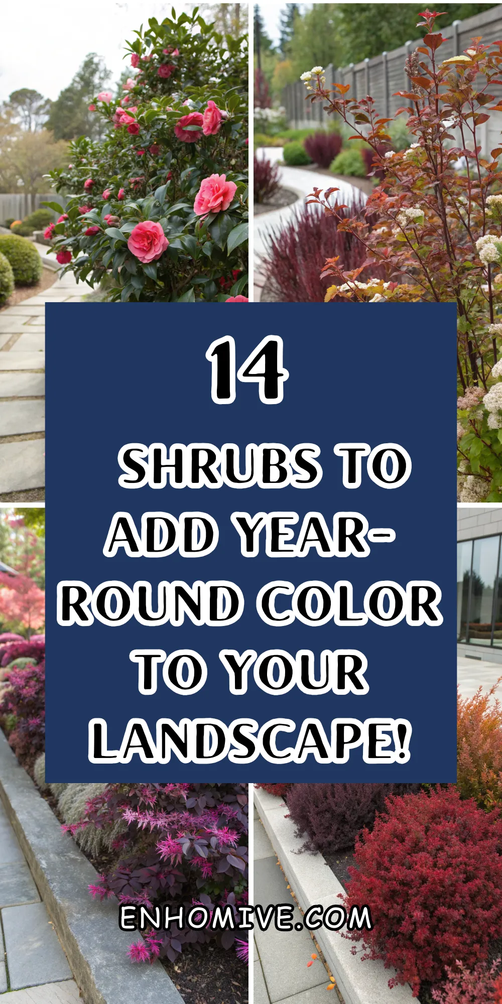 14 Unique Colorful Shrubs to Add Year-Round Color to Your Landscape!