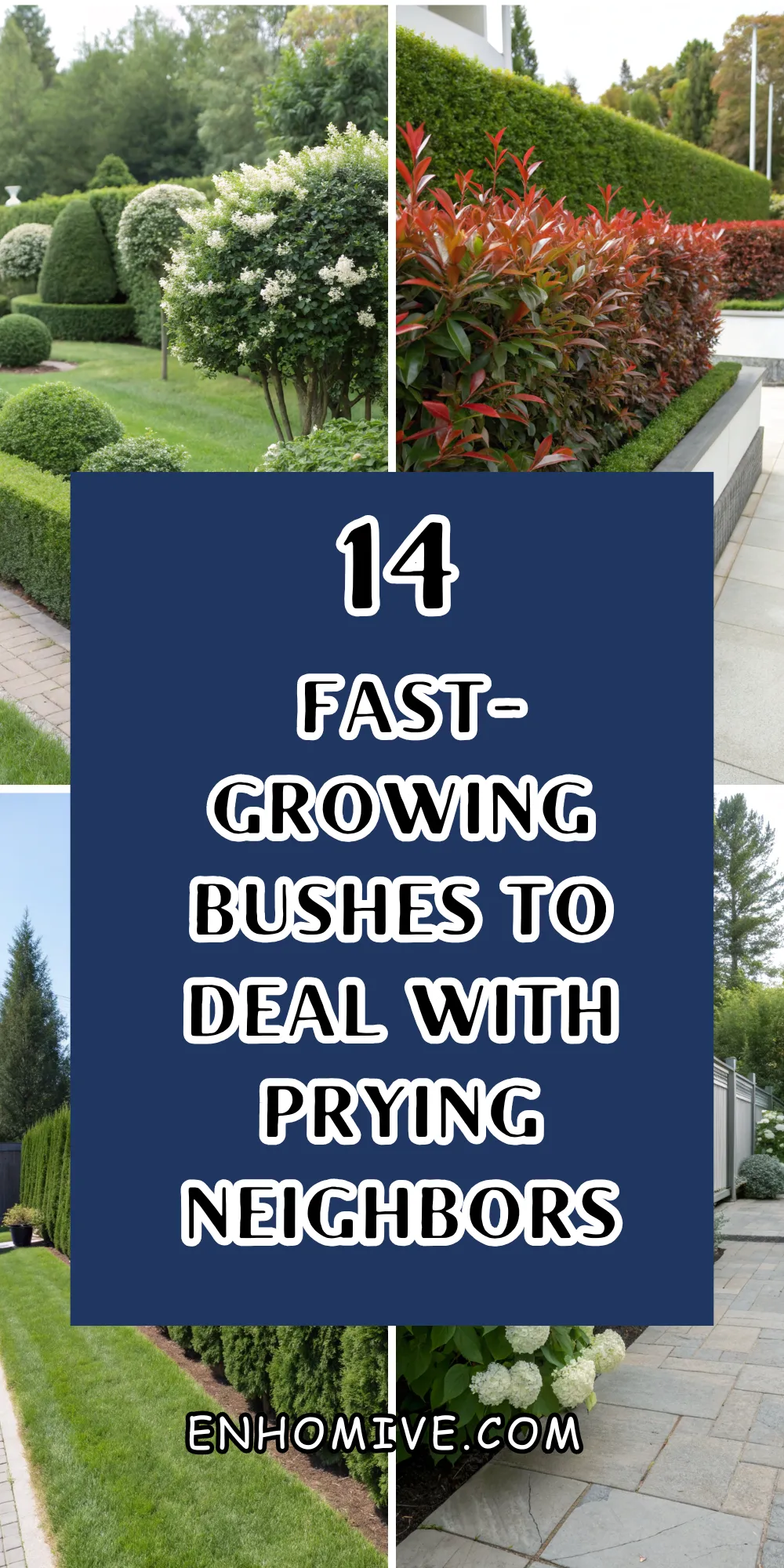 14 Fast-Growing Bushes to Deal with Prying Neighbors